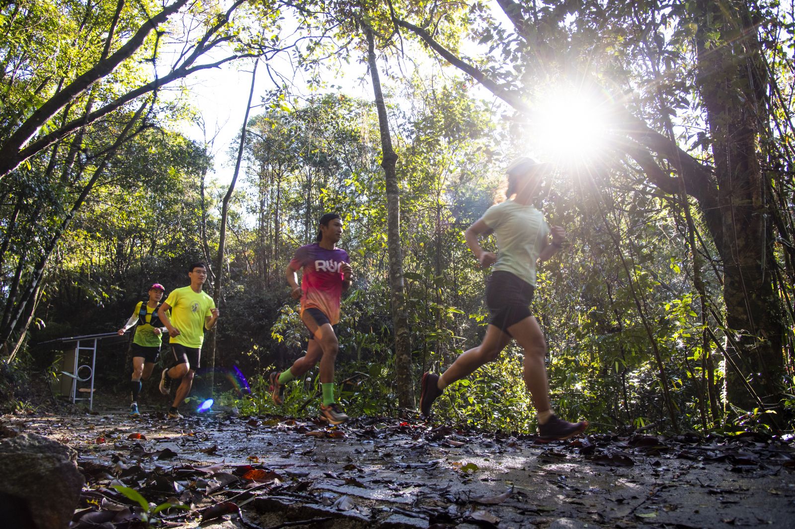 Trail running at the magnificent Mount Bach Ma - Viet Nam Tourism ...