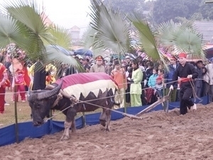 Long Tong festival becomes national heritage - Môi trường du lịch Việt Nam